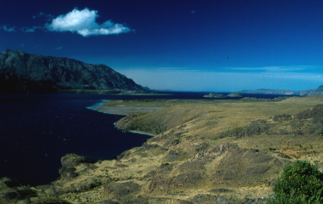 Miguel Torres y los Pinos en la Estepa - Aisen Reserva de Vida